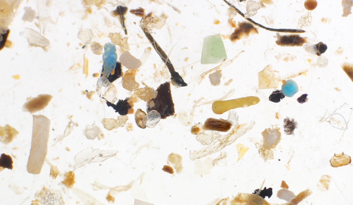 How to Avoid Microplastics
